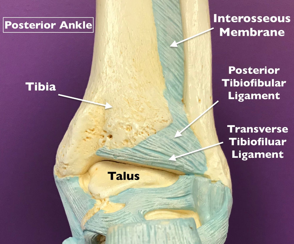 Understanding The Diagnosis Of A High Ankle Sprain understanding-the-diagnosis-of-a-high-ankle-sprain