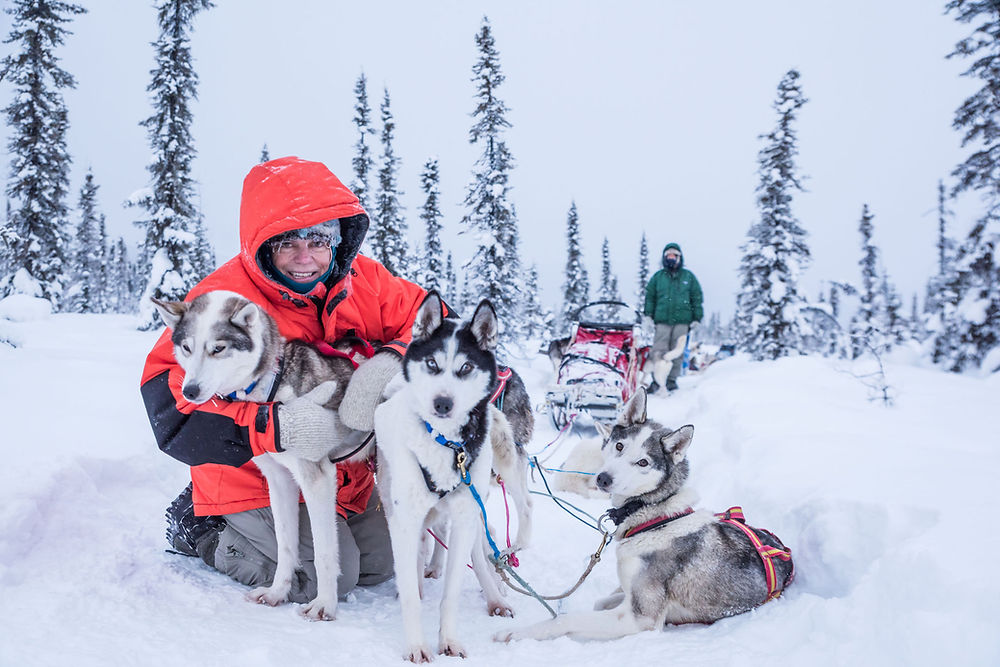 Day Tours | Arctic Dog Adventure Co. | Fairbanks, Alaska