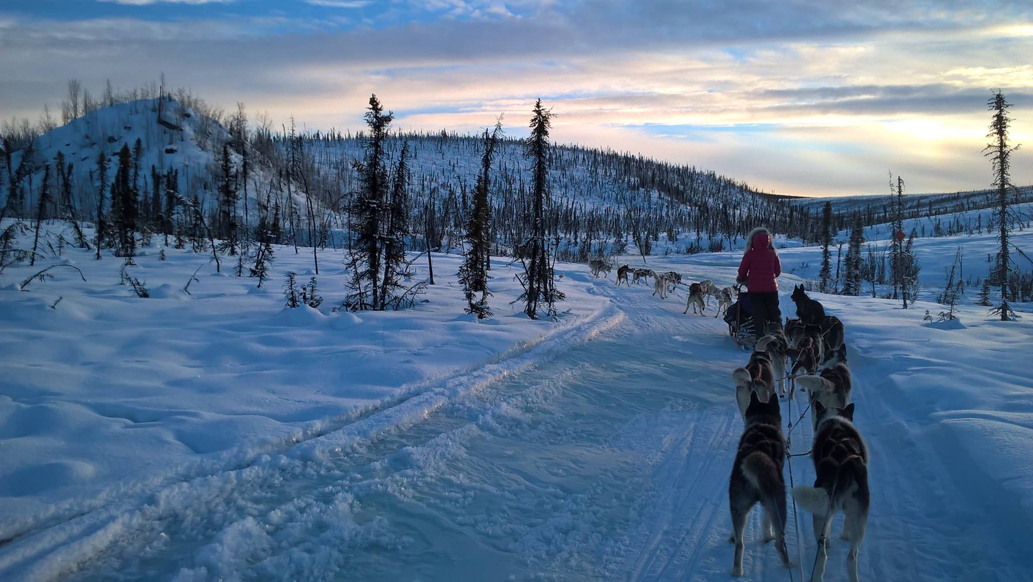 Cache Mountain Crossing | Arctic Dog Adventure Co. | Fairbanks, Alaska