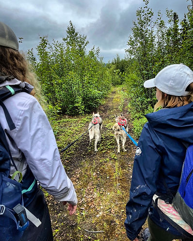 Husky Hike Tour | Arctic Dog Adventure Co. | Fairbanks