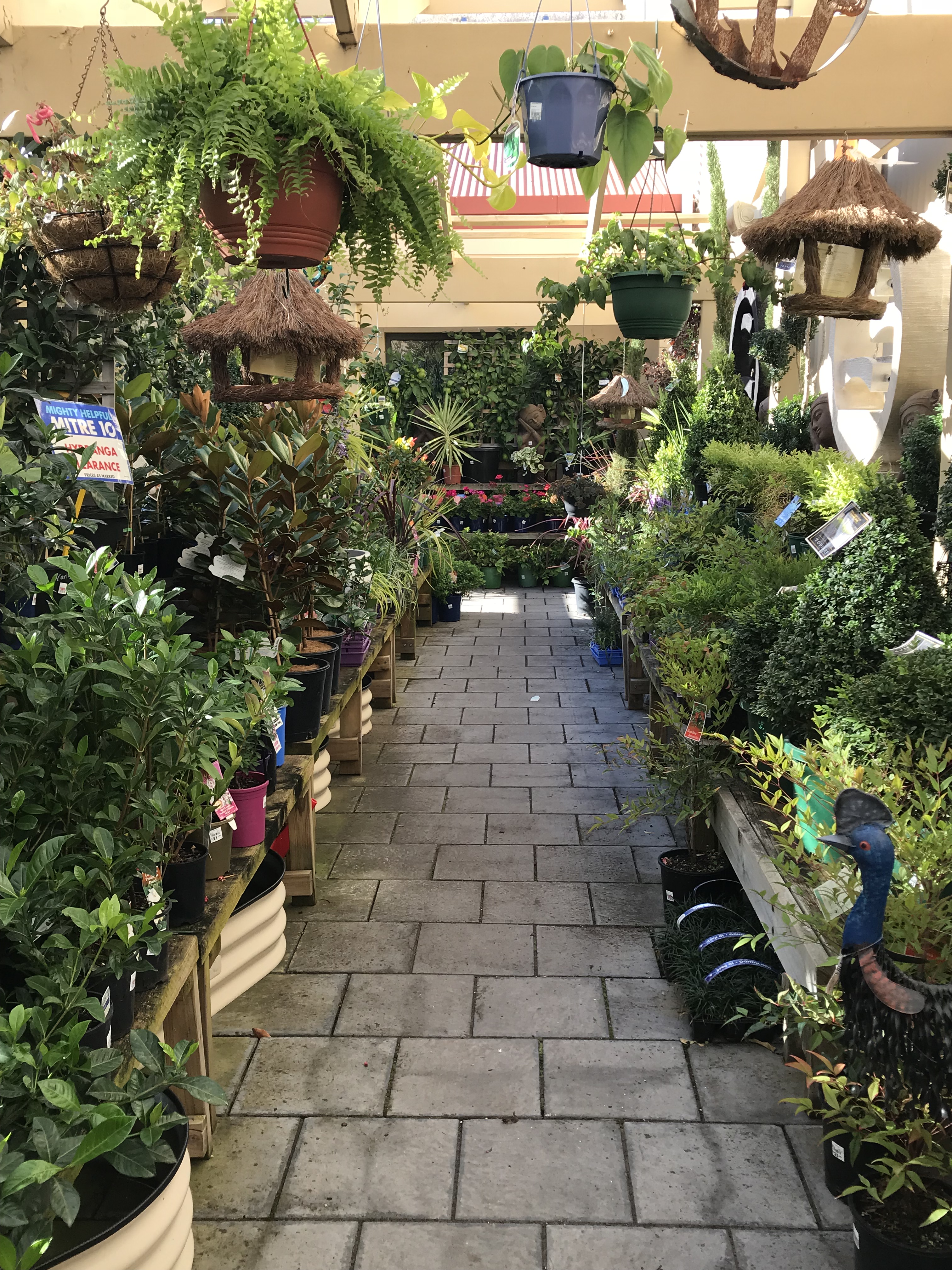 Garden, garden centre
