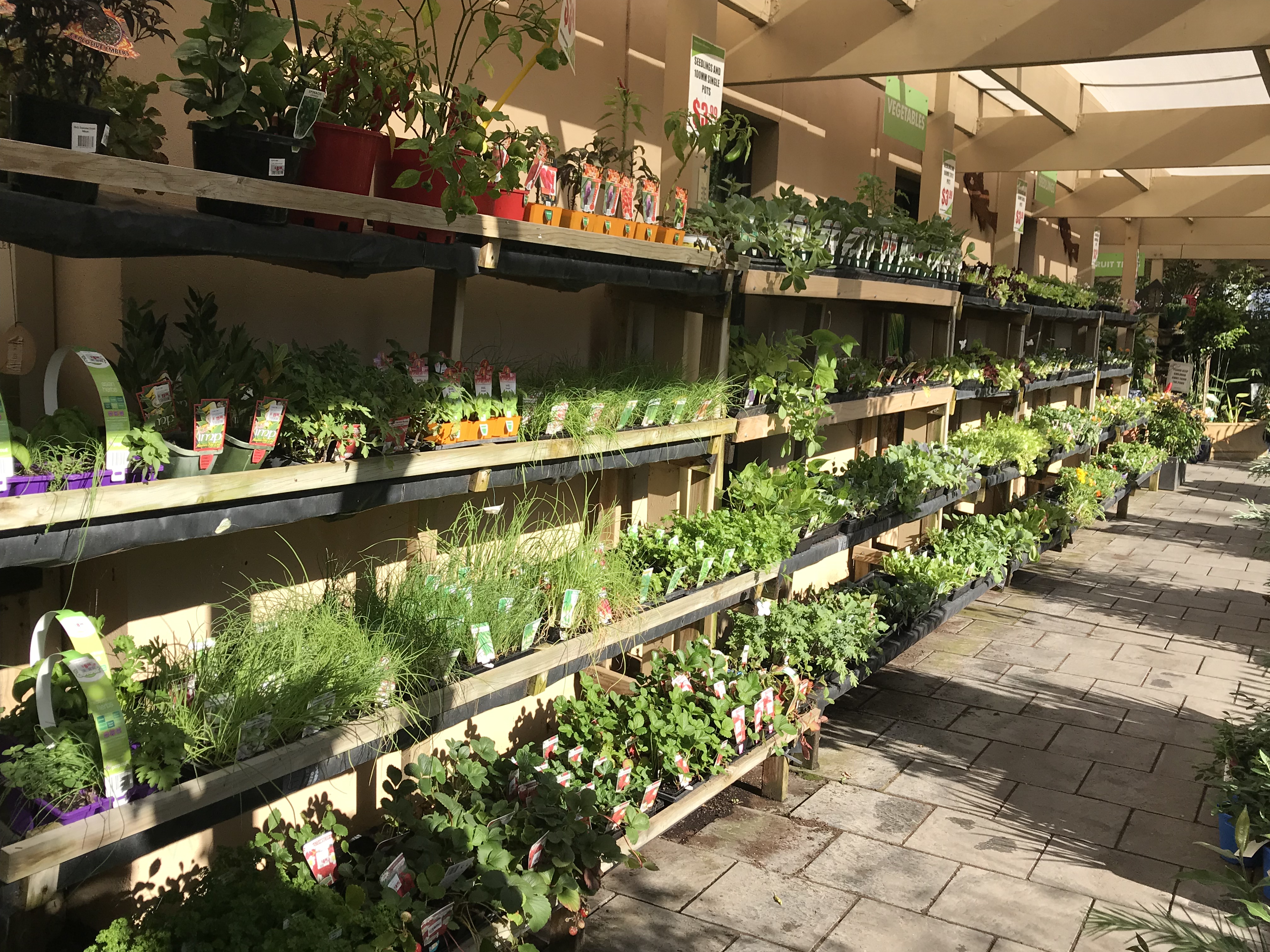 Garden, garden centre