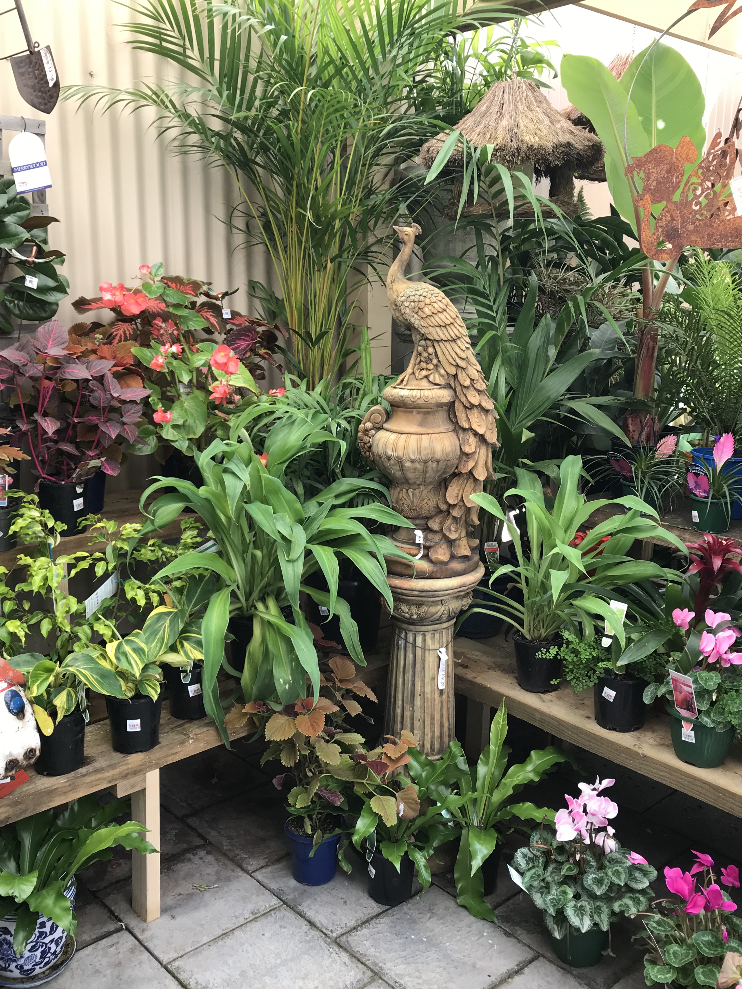 Garden, garden centre