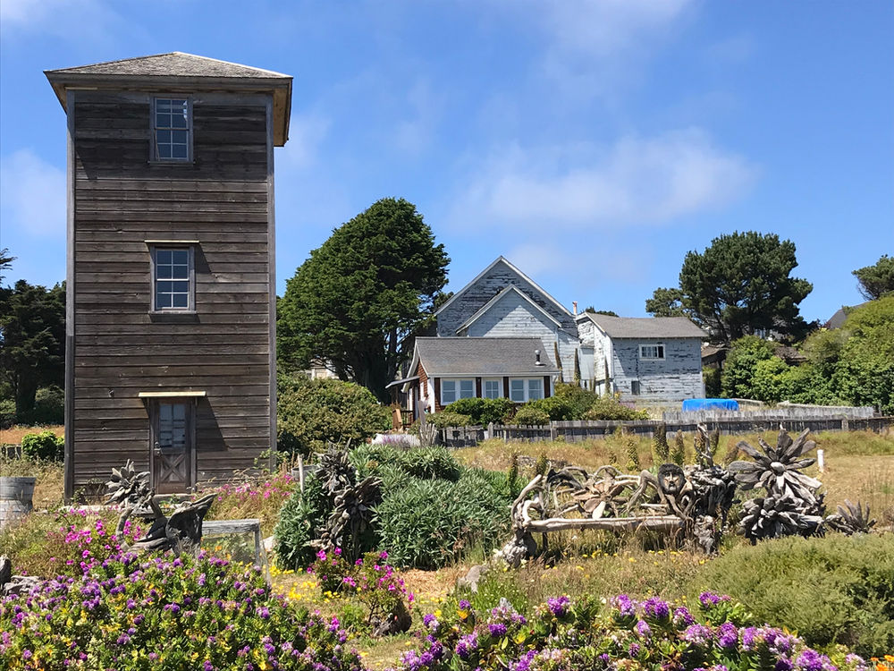 A Walk in Mendocino