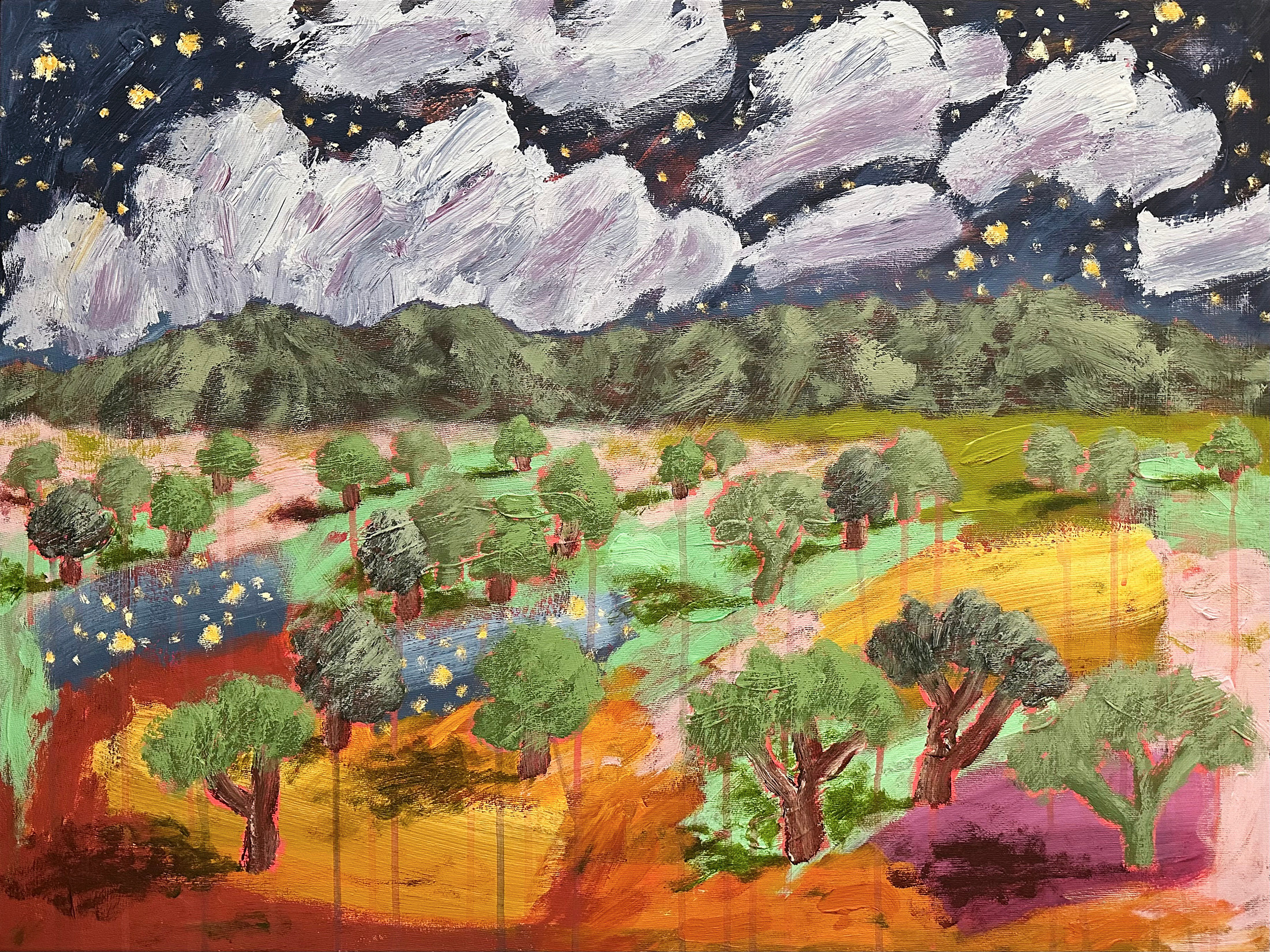 Starry sky over spring paddocks