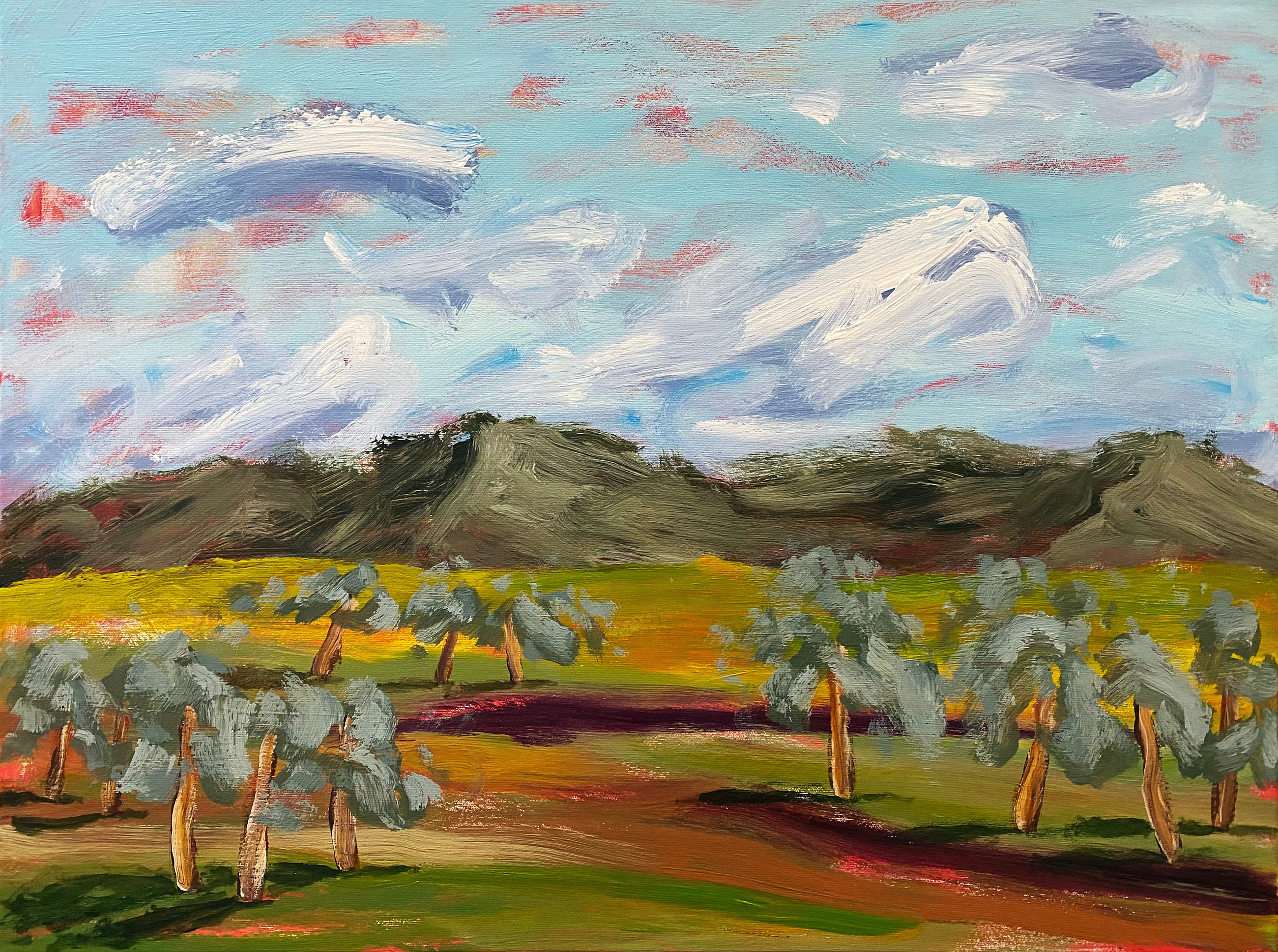 Upper Hunter Valley landscape
