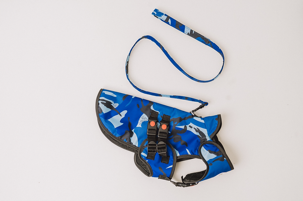 Doggy Armour | Bite-resistant dog coats