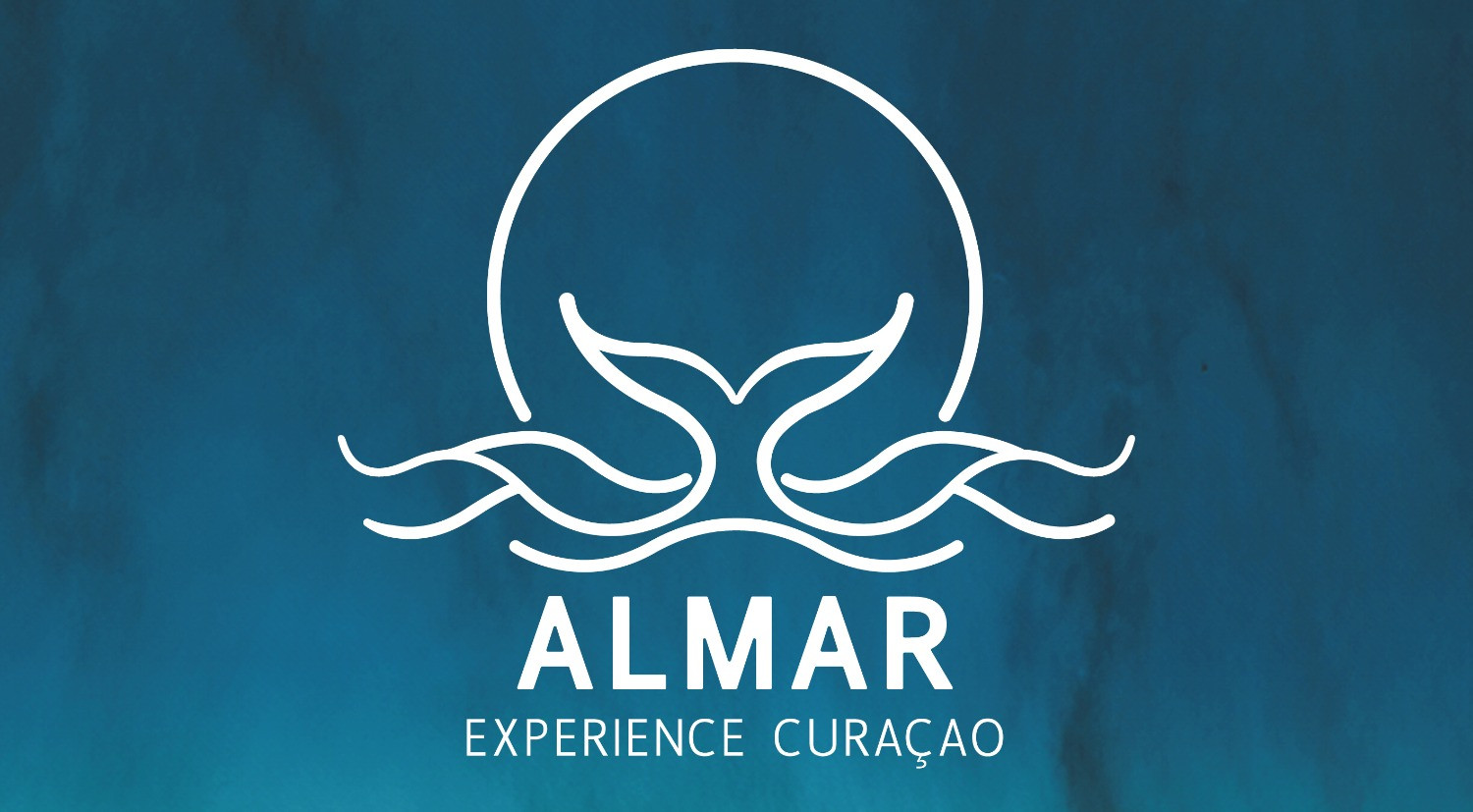 EXPERIENCIA | ALMAR