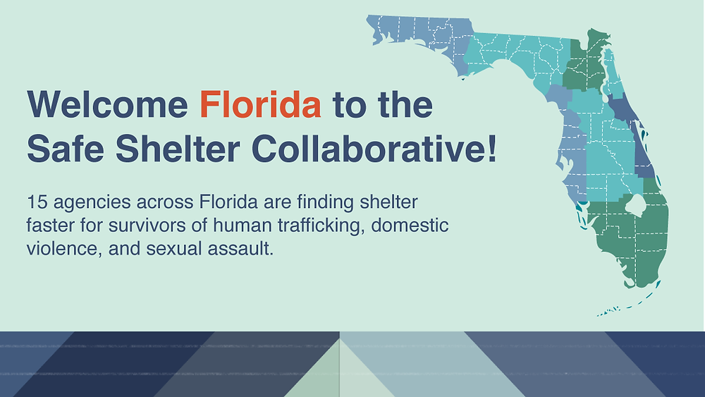 Florida joins the Safe Shelter Collaborative