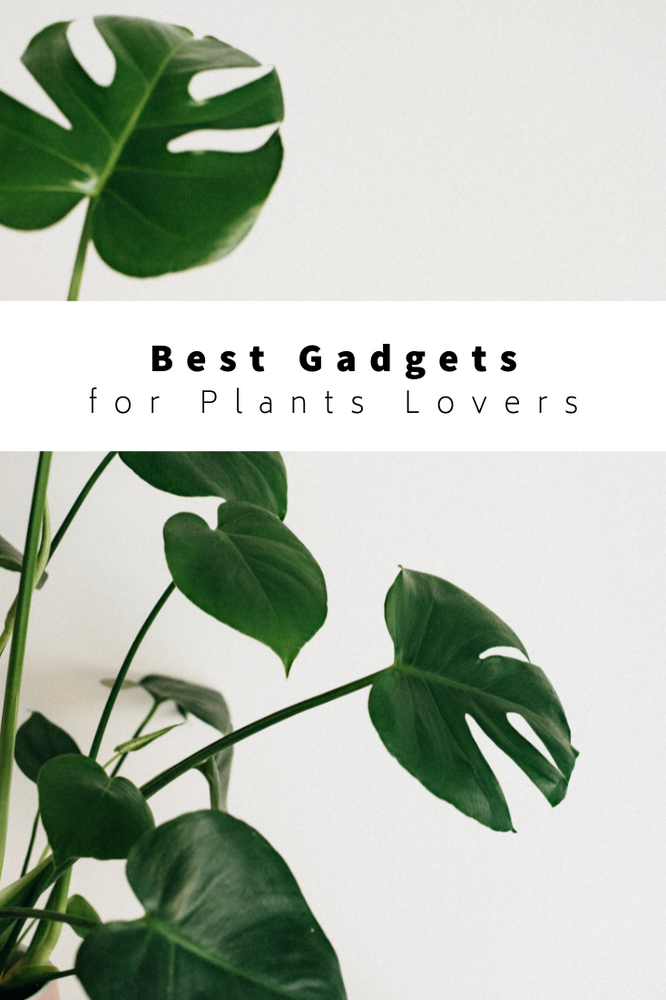 Best Gadgets for Houseplant Lovers