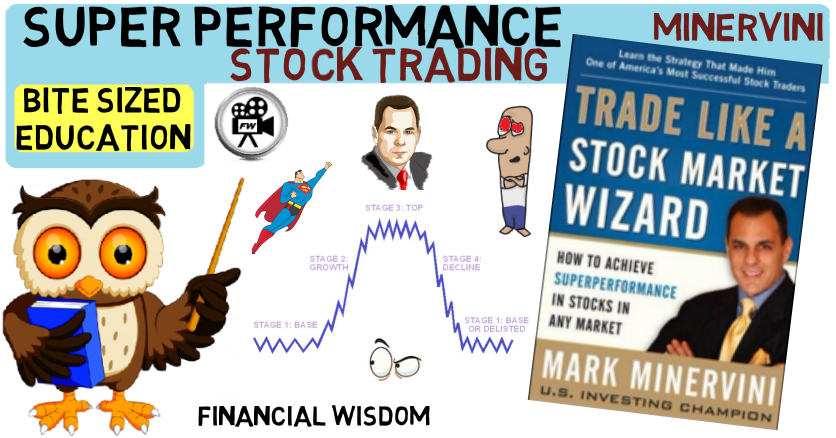 Mark Minervini - Trade Like A Stock Market Wizard - Animated book review.
