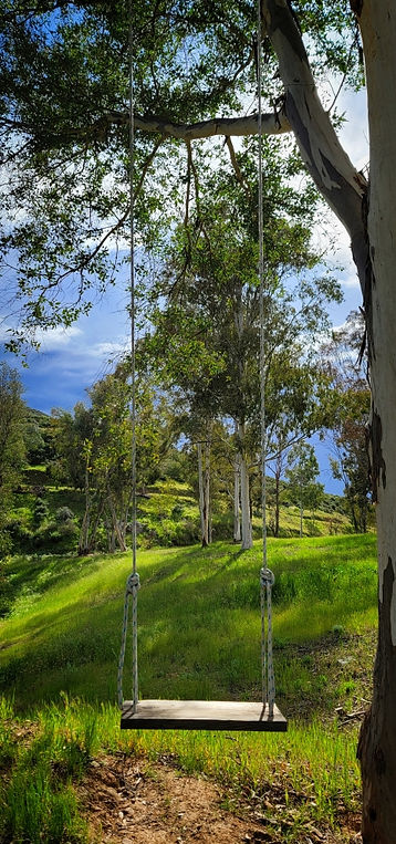 JOIN US | HIDDEN FALLS PRESERVE