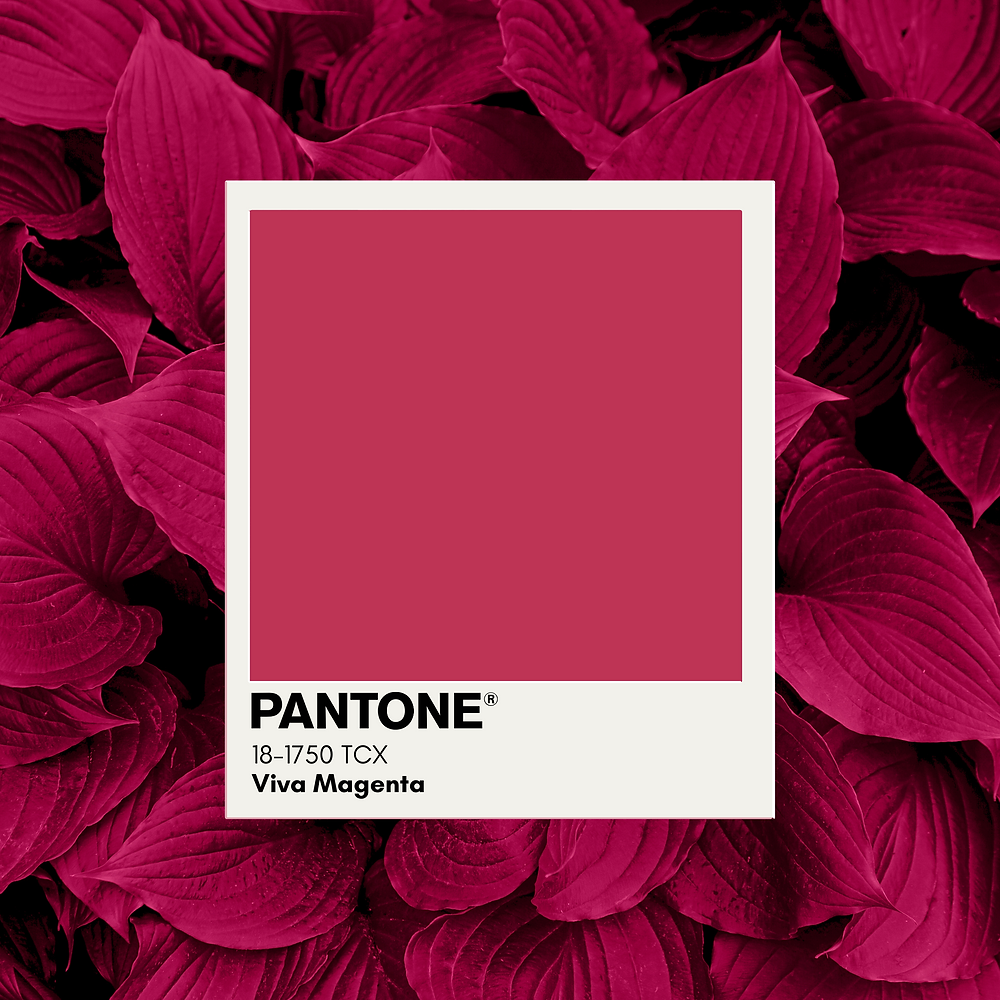 Exploring the Impact of Pantone's Color of the Year on Design Trends
