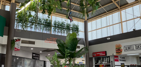 Artificial Greenery | Absolutely Unreal Greenery | Canberra