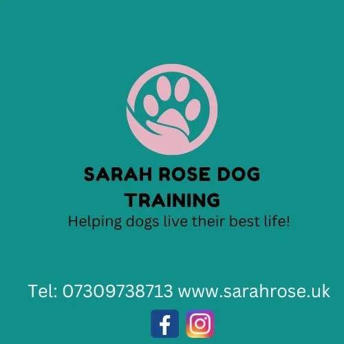 Sarah Rose Dog Training | Dog Trainer | Broughton Astley, Leicester, UK