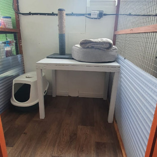 PetPods and indoor pens | Mr T's Cattery | Dalkeith