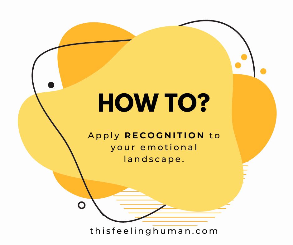 Applying Recognition to Your Emotional Landscape | Turning Insight into ...
