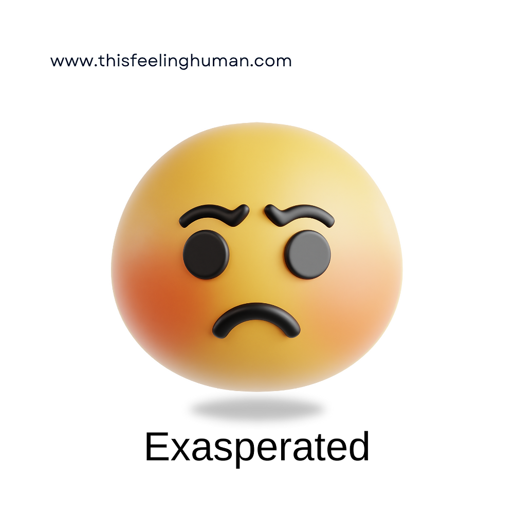 The Story of Exasperation: A Guide to Navigating Frustration and Finding Calm