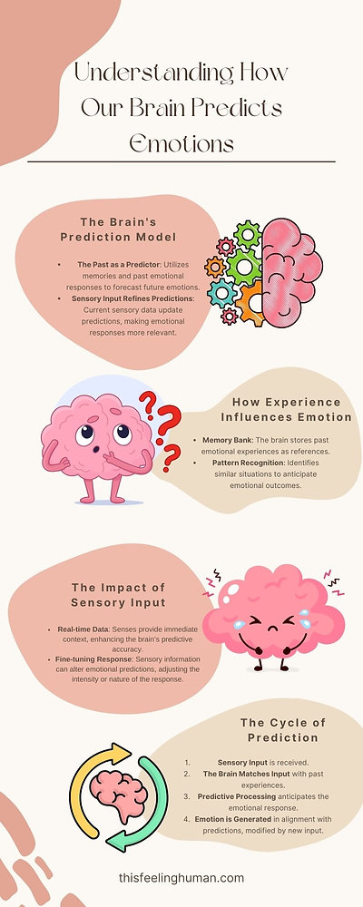 How the Brain Predicts Emotions | The Prediction Machine