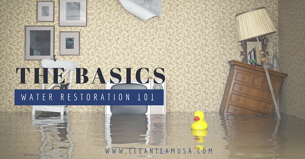 Water Restoration 101: The Basics