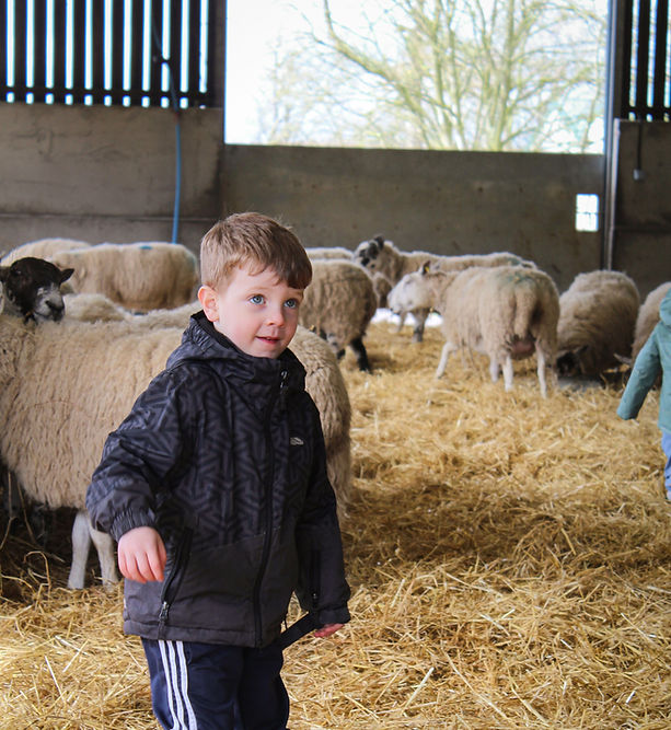 Home | Solsgirth Home Farm | Farm Experiences | Farmer’s Market ...