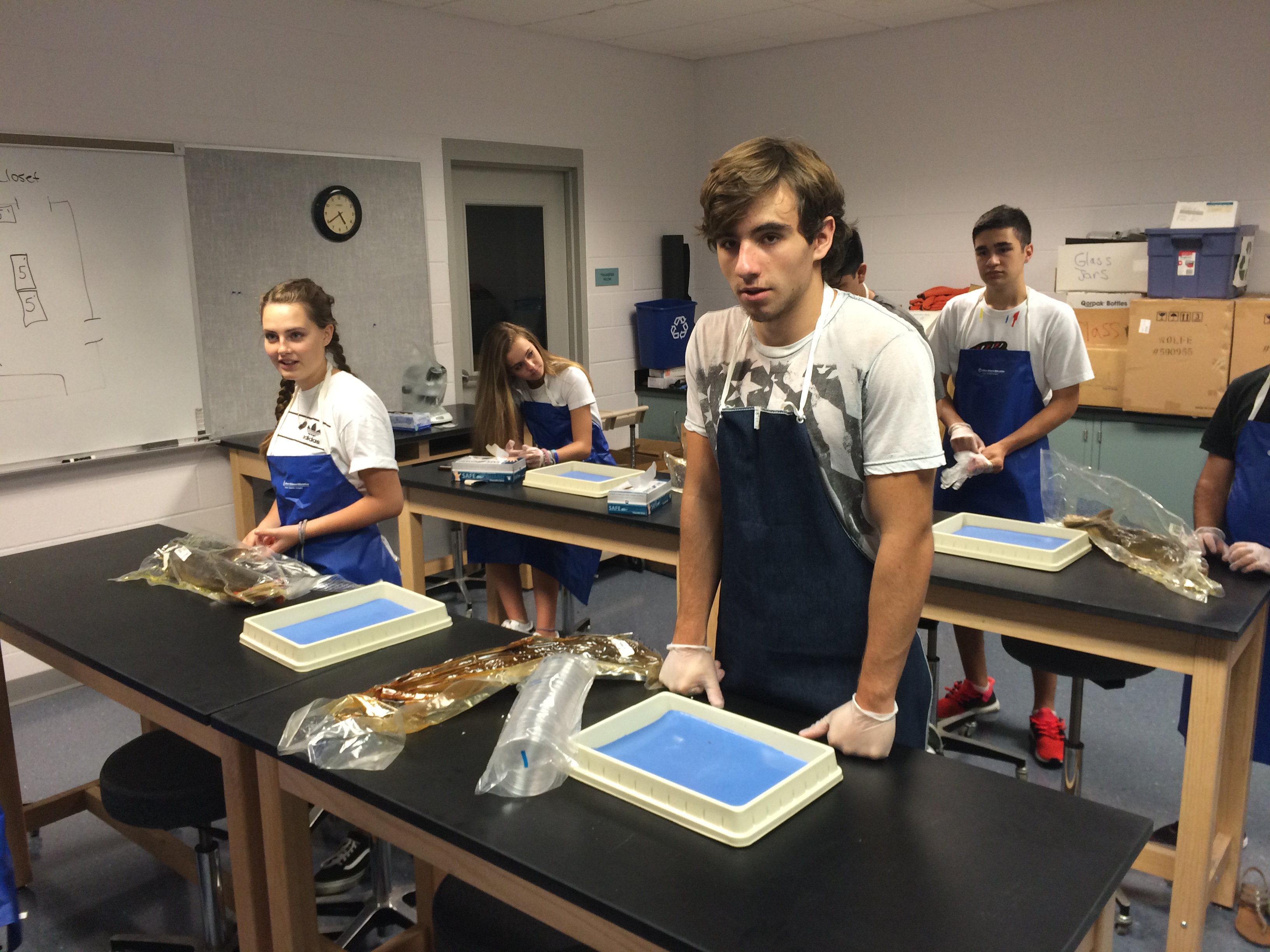 Gallery | agriscience