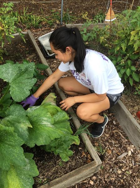 Gallery | agriscience