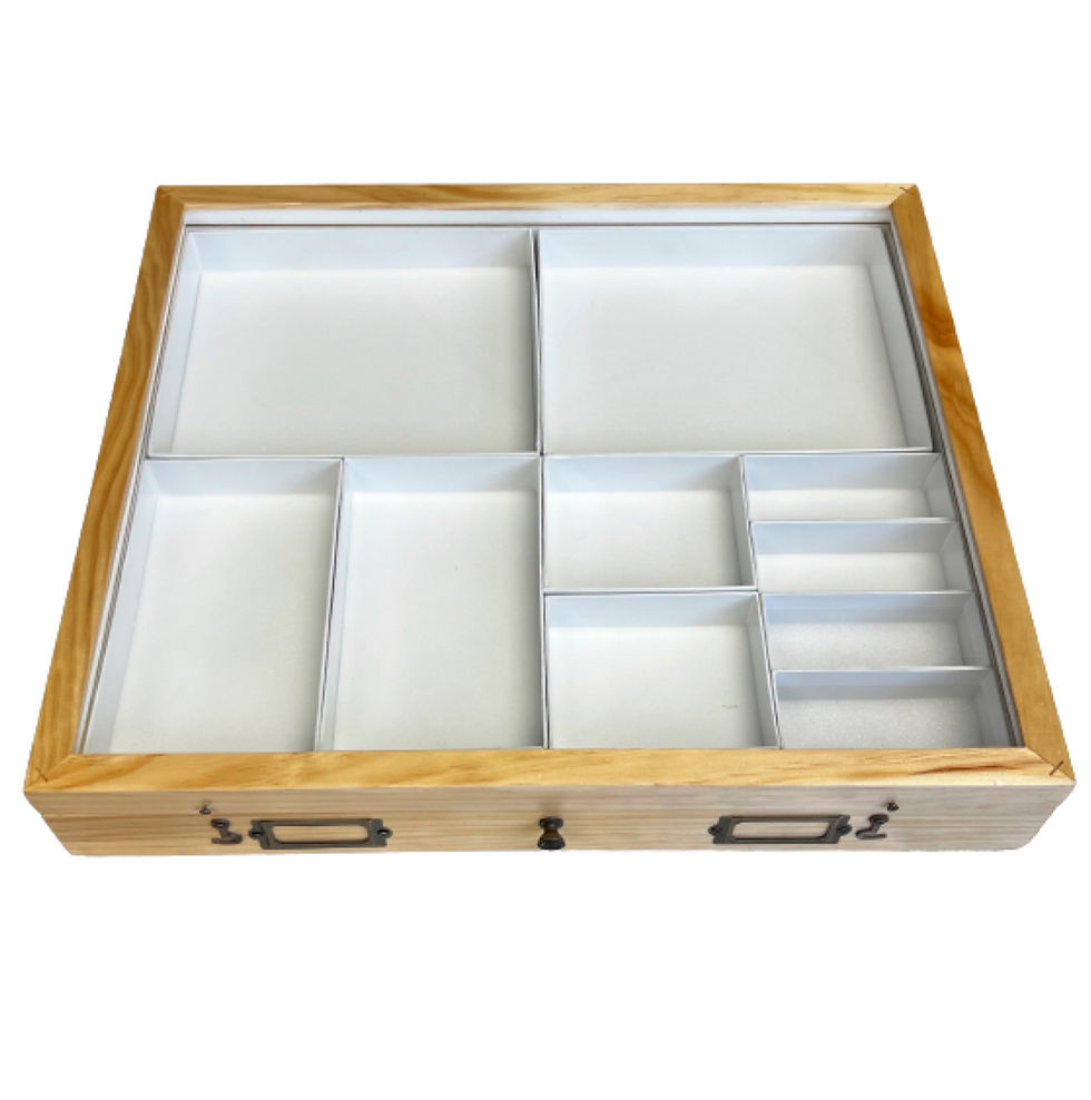 CORNELL STYLE SPECIMEN DRAWER without pinning interior | Instar ...
