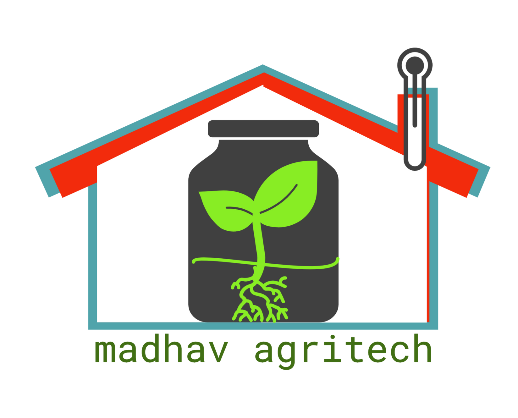 Potato Seed Supplier | Madhav Agri-Tech