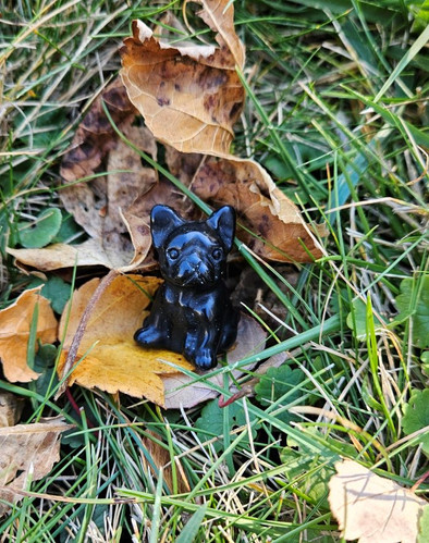 Obsidian Dog (Pug) | Crystal Shop