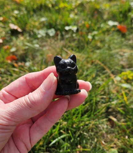 Obsidian Cat | Crystal Shop