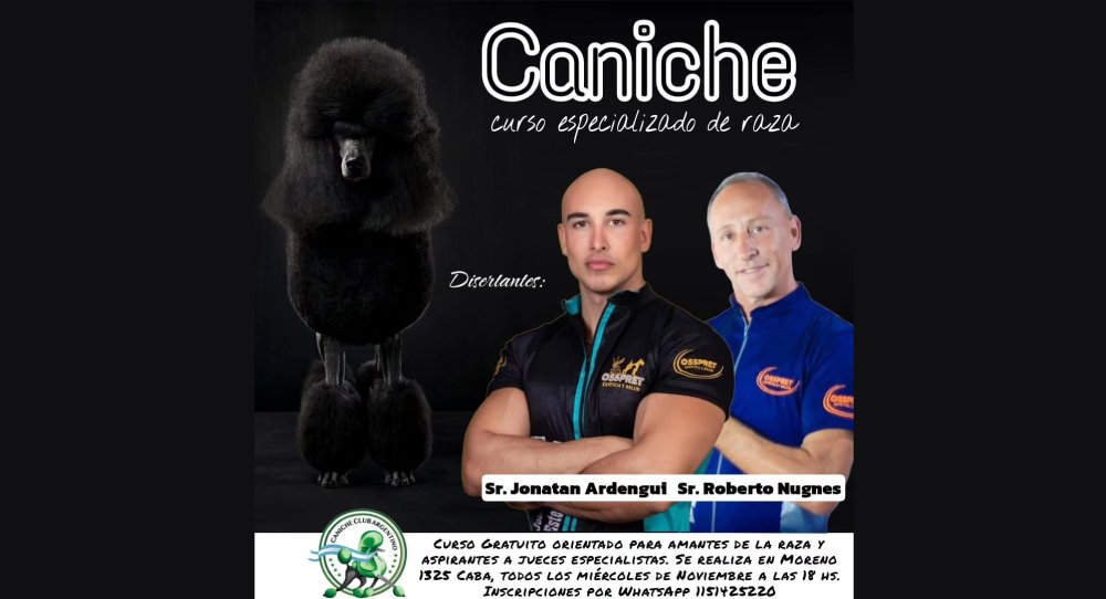 caniche-club-argentino