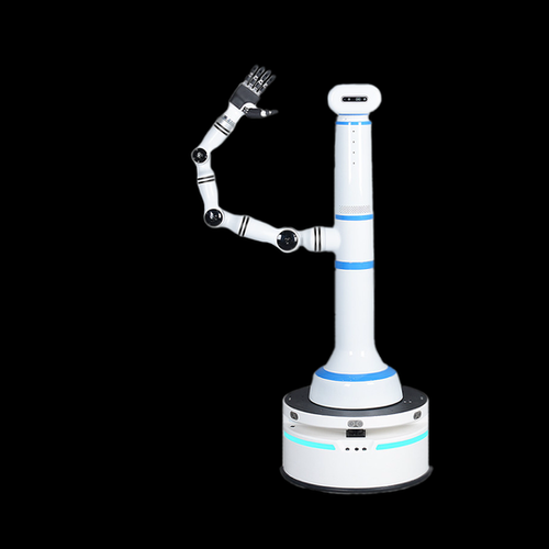 Realman Single Arm Compound Robot | Versatile Industrial Robot Arm