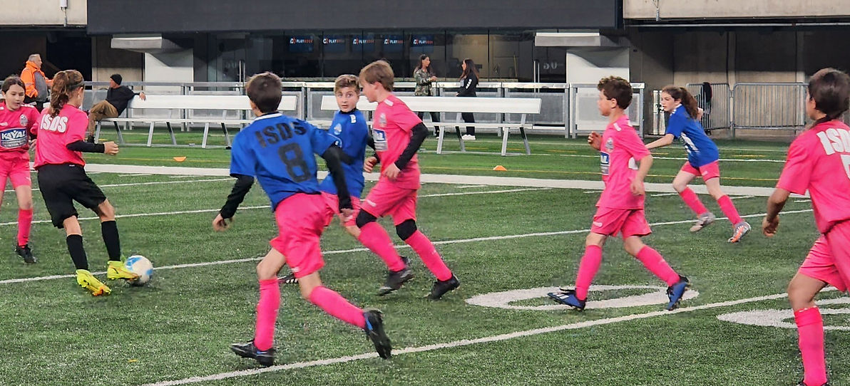 Home [www.isds-sports.com]