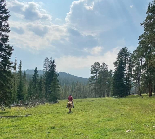 All Products | Sleep Ranch