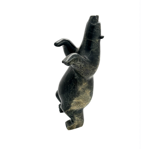 SIMONIE, Dancing Bear | lechariotmetierdart