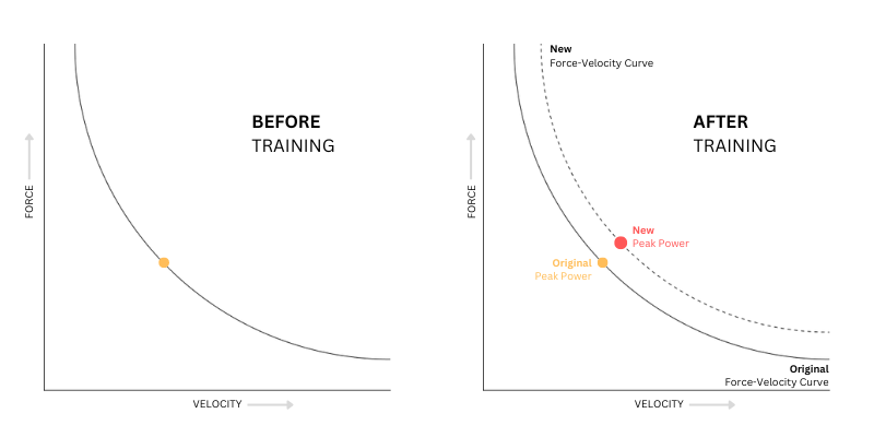 What is the Force-Velocity Curve and Does it Matter for Ultrarunning?