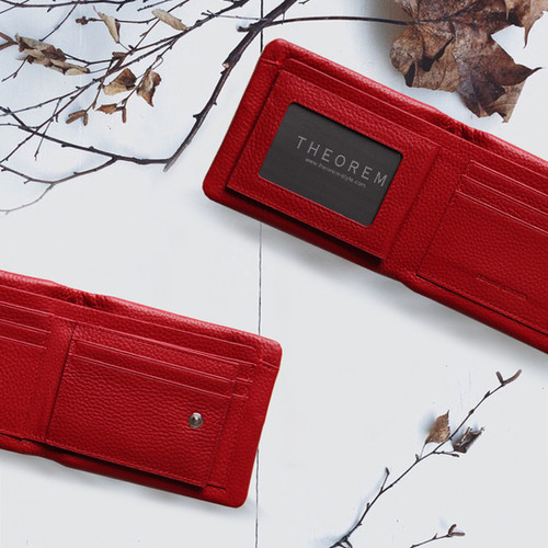 KITE wallet - red | theorem-style
