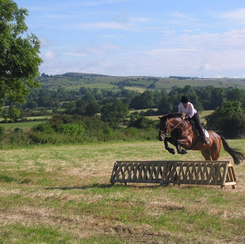Livery & Stables | Netherton Hall | Luxury Holiday Cottages & Livery ...
