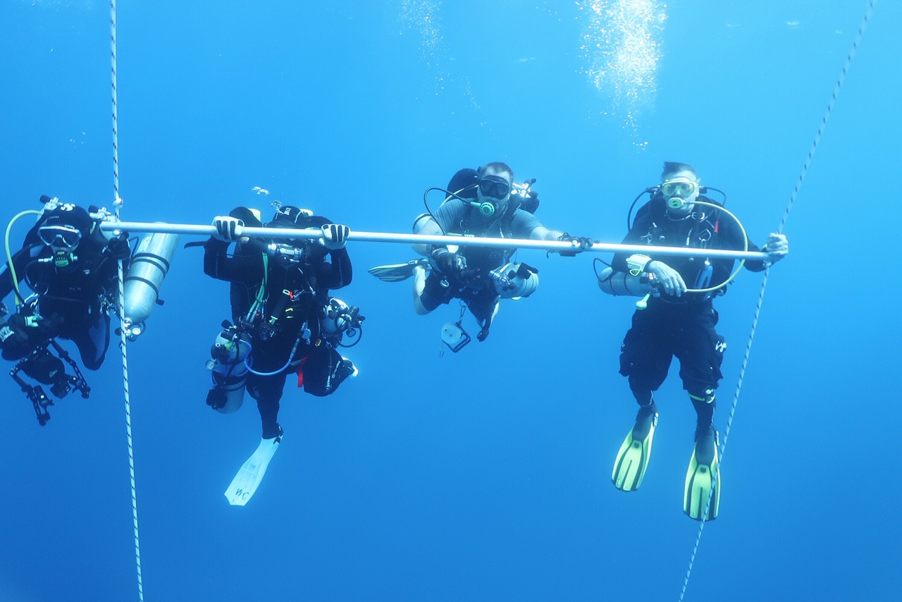 Decompression Procedures | Go Dive Pacific | Marlborough NZ