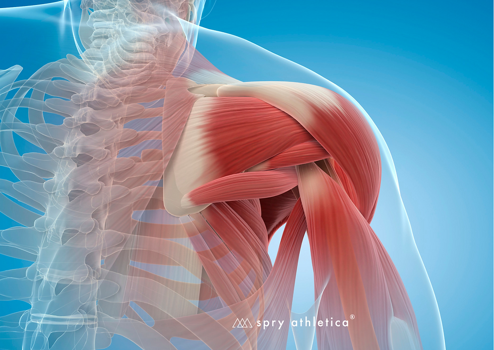 What is Mobility Training And Why It Is Important