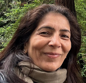 The Collective | TRASAL