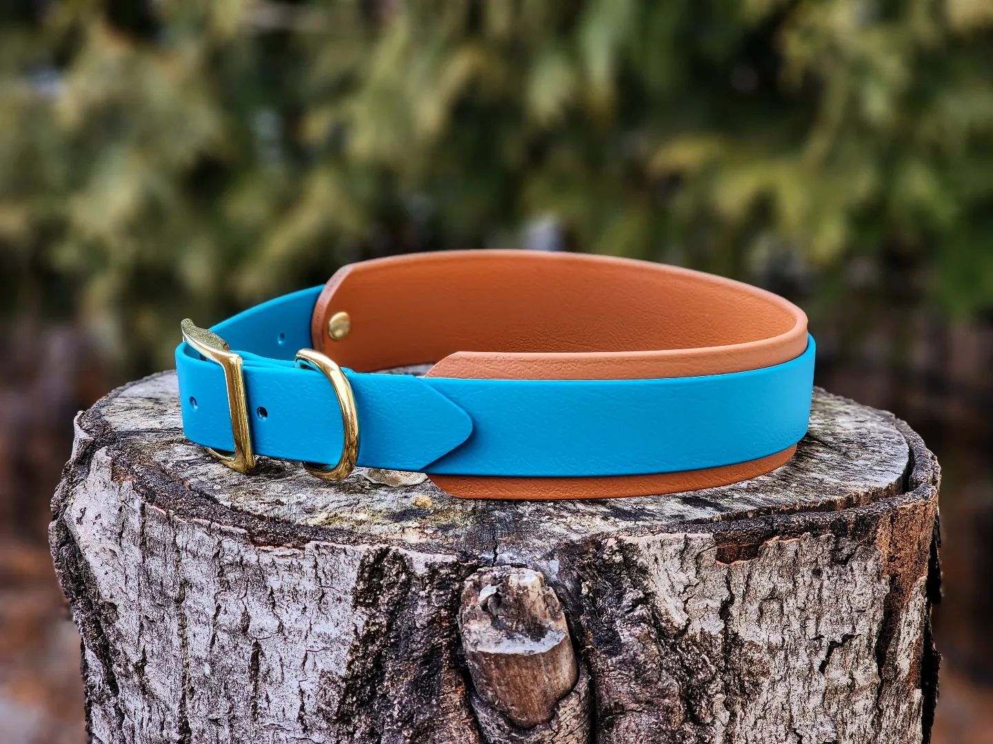 Collars | That's so Fetch Coll