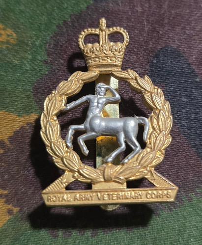 Royal Army Veterinary Corps (RAVC) cap or beret badge | My Site