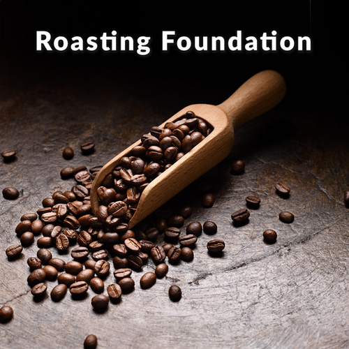 Roasting Foundation Course | Firedancer Educators