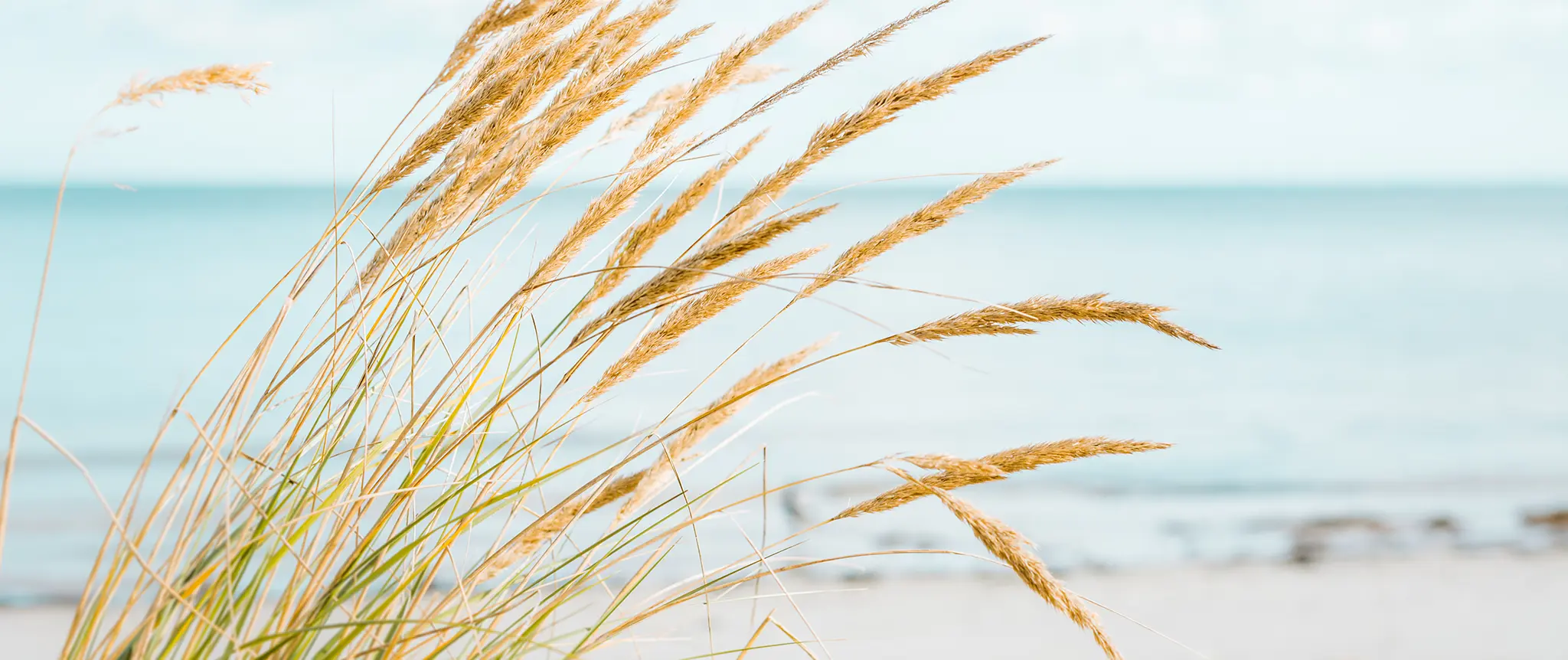 Functional Medicine Practitioner, Blue Pebble Health, Utah