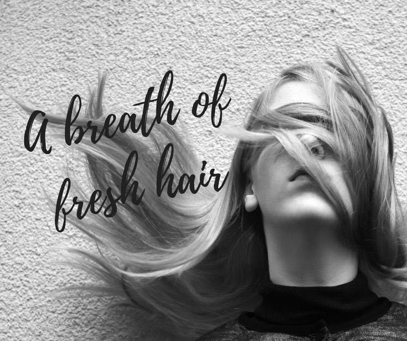 Fresh Hair Design Ossett | cutting perming and styling | Fresh Hair ...