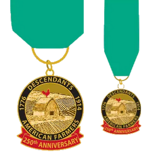 250th Anniversary of America Insignia - Set | NSDOAF