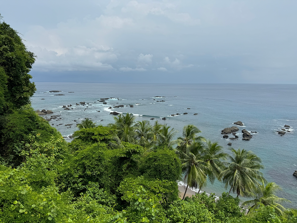 Découvrir l'Isla del Caño en snorkeling ou plongée au départ d’Uvita