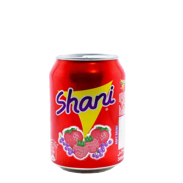 SHANI FRUIT FLAVOURED DRINK | Raps Store